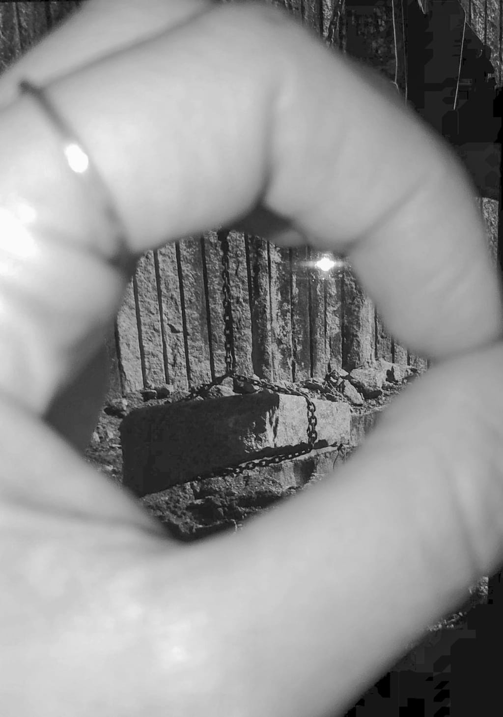 Morgan Levy: With a Finger She Guided My Eye Along the Rift in the Roc ...