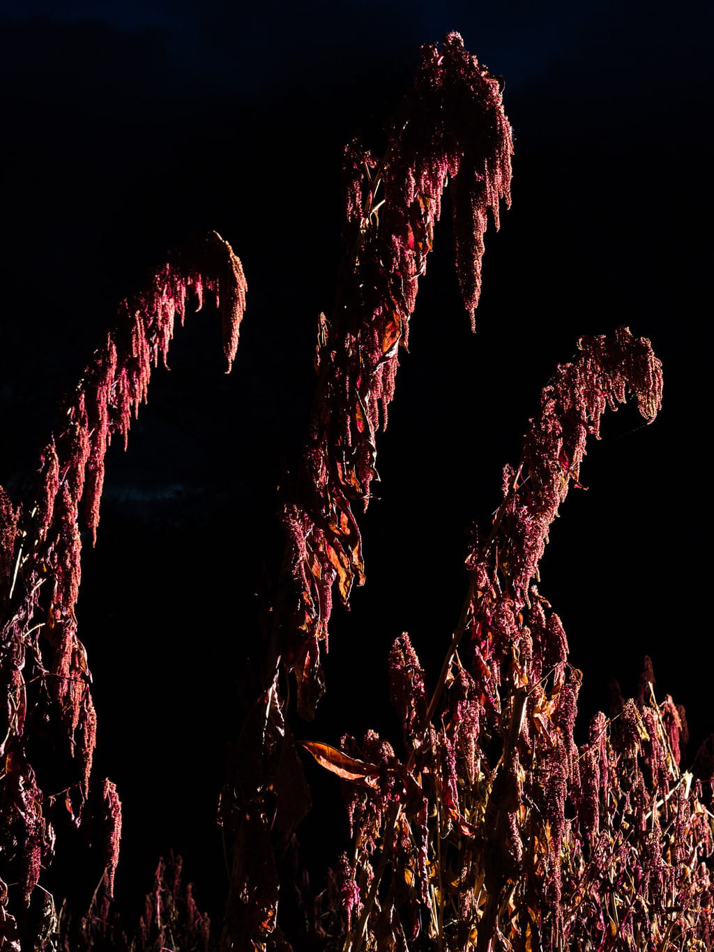 2021 Daylight Photo Awards Jury Highlights – Daylight Books